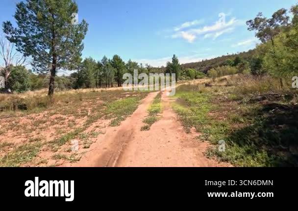 Walking track through bushland Stock Videos & Footage - HD and 4K Video ...