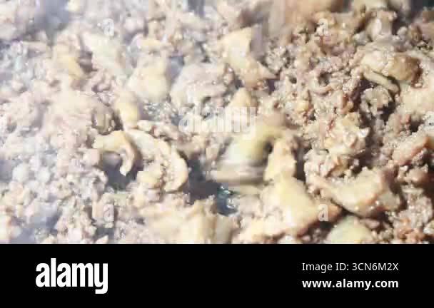 minced meat fried with shrimp paste Stock Video Footage - Alamy