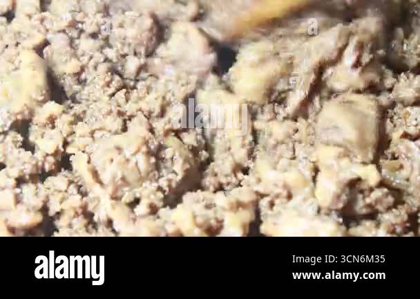 minced meat fried with shrimp paste Stock Video Footage - Alamy
