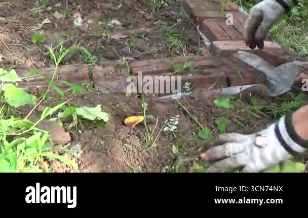 weed killer in the garden Stock Video Footage - Alamy