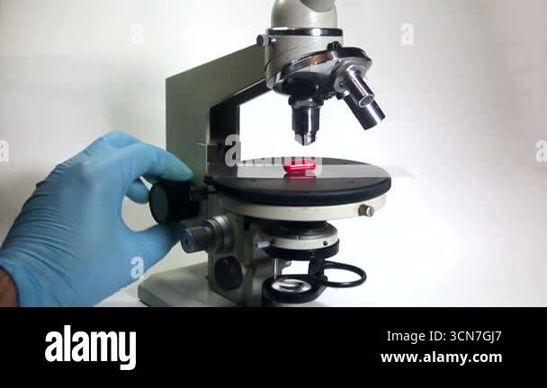 A male doctor in a blue glove adjusts an old microscope over a red pill ...