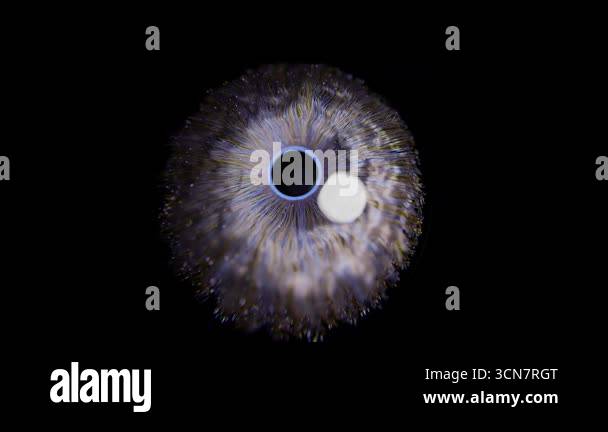 Captivating digital rendering of an abstract human eye, showcasing ...