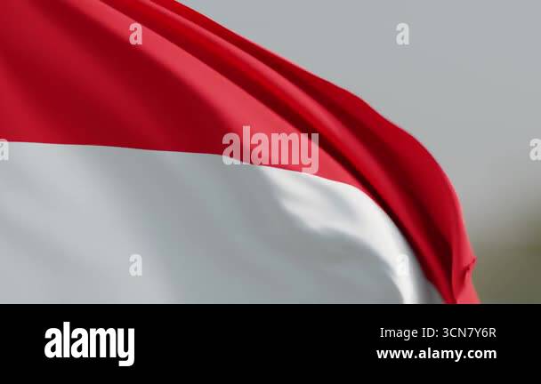 Vibrant red and white flag waves gracefully, highlighting the national ...