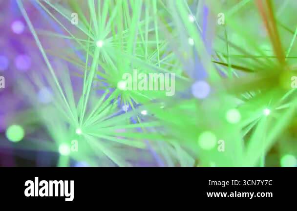 Vibrant abstract animation of interconnected green geometric lines forming a plexus network ...