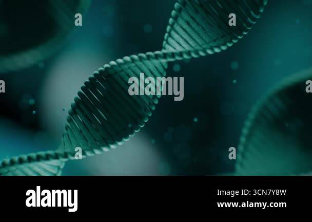Animated 3D model of a DNA double helix slowly rotates against a ...