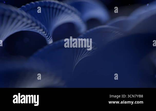 Dynamic visualization of multiple blue and white DNA helix strands ...