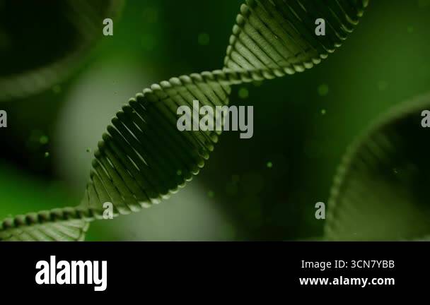 Dynamic 3D animation showcasing the intricate rotation of a double ...