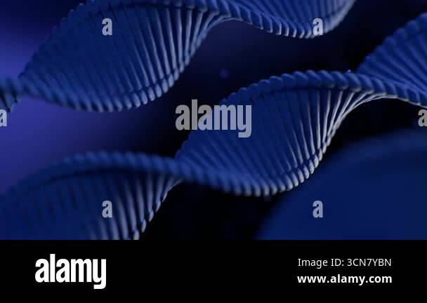 Dynamic visualization of multiple genetic DNA double helix molecules ...