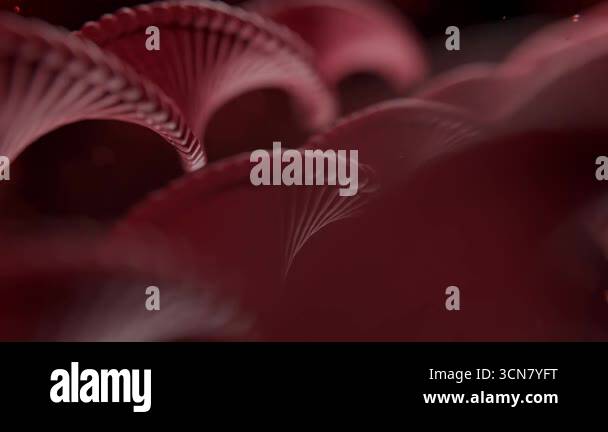 Dynamic visualization of multiple intricate red DNA helix strands ...