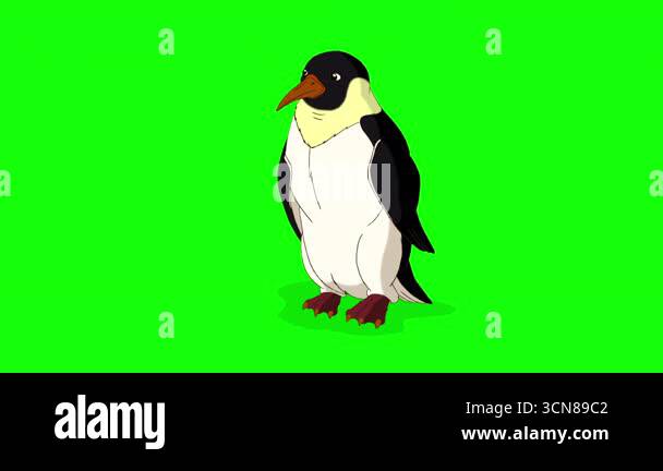 Cute Emperor Penguin. Handmade 2D animated HD looped footage isolated on green screen for video ...