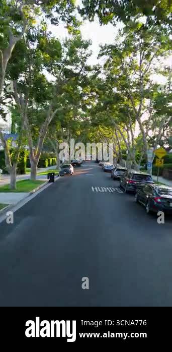 Vertical cinematic shot gliding forward along a serene residential ...