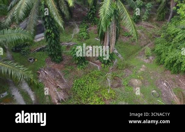 Aerial footage of a man model flying drone around the residence houses ...