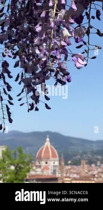 A breathtaking view of Florence with the iconic Duomo rising above red ...