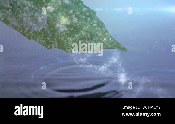 Particle swirl initiating droplet falling from leaf tip, creating ...