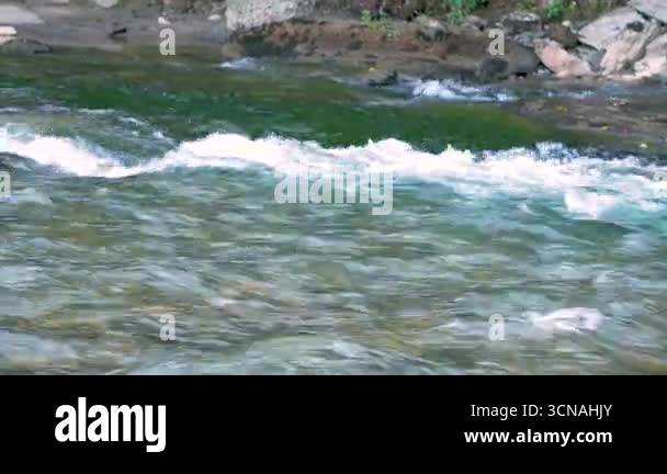 A small mountain river with rapids in the Samegrelo region, Georgia ...