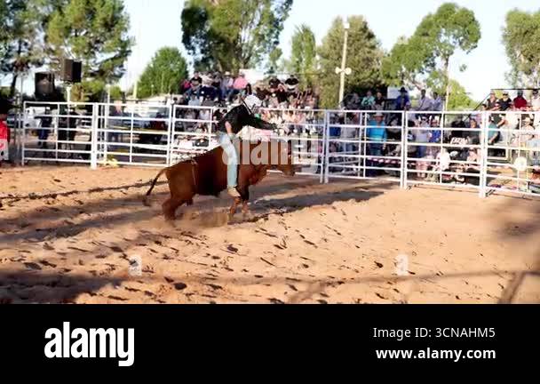 Bull rider competes in a dynamic rodeo event Stock Video Footage - Alamy