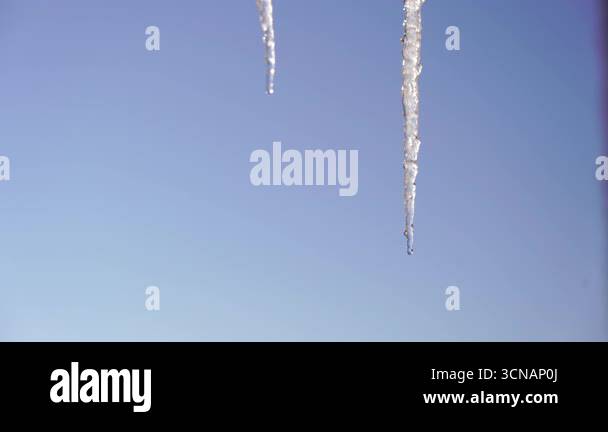 Frozen icicles isolated on blue sky background on a sunny spring day ...