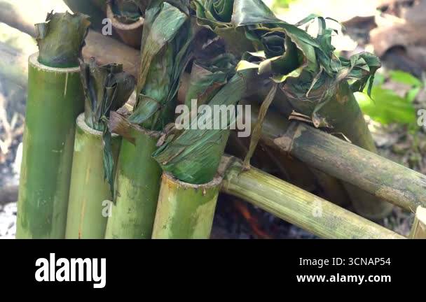 Burning bamboo rice in traditional cooking, asian food. Ubud, island ...