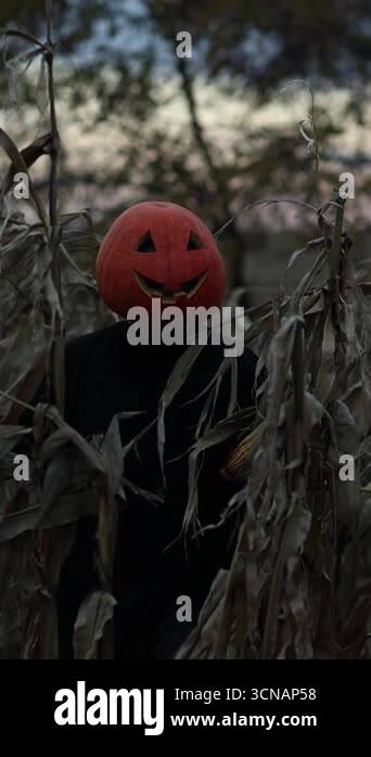 Man with Halloween carved pumpkin head and dark clothes does eerie ...
