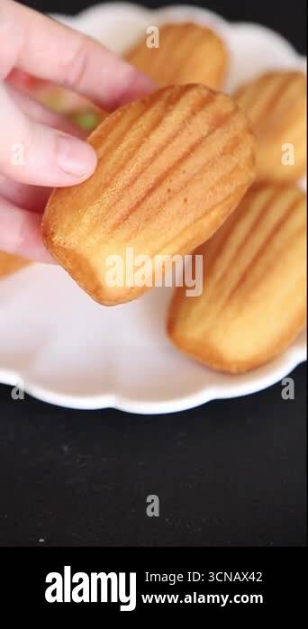 Madeleine cookies sweet dessert traditional french sweets tasty snack ...