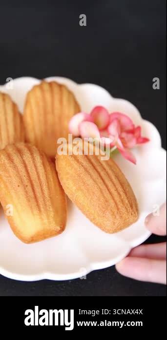 Madeleine cookies sweet dessert traditional french sweets tasty snack ...