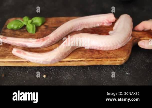 Raw rock eel fish rock salmon shark seafood small-spotted catshark ...