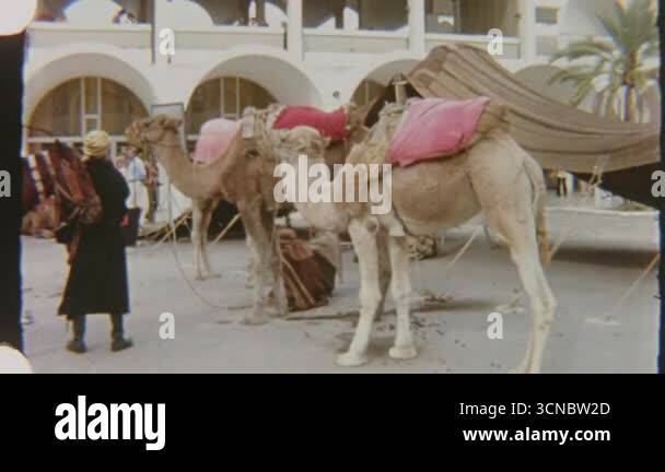 Authentic 8mm film from 1970s Tunisia captures camels with colorful ...