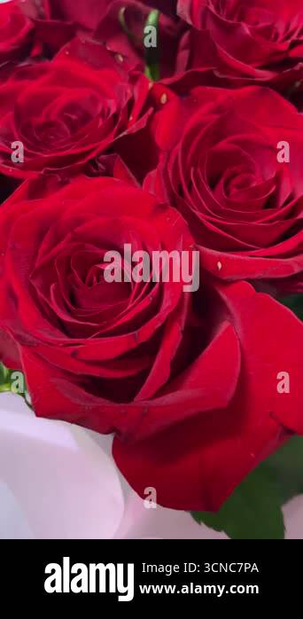 red rose bouquet close up, romantic roses, flowers, feeling love, fall ...