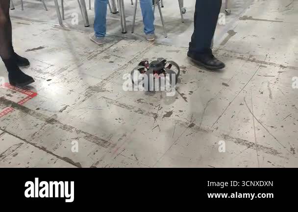 Moving small robot on remote control. Radio controlled robot. Small ...