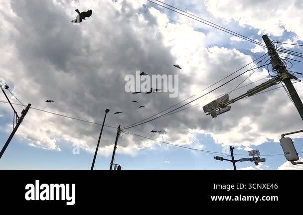 Japan power lines Stock Videos & Footage - HD and 4K Video Clips - Alamy