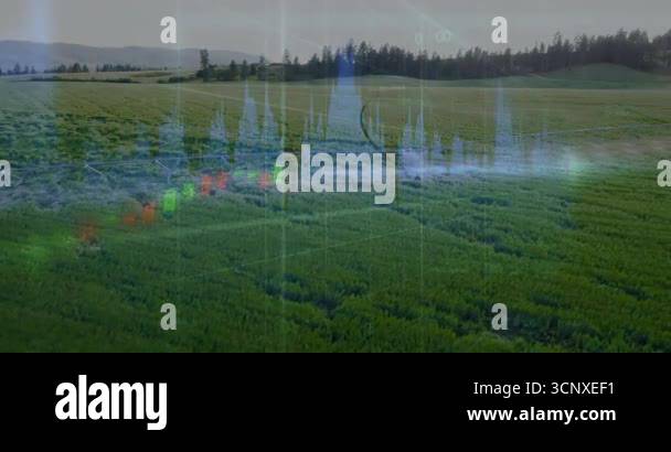 Aerial view starting AR overlay animating candlestick bars and waveform ...