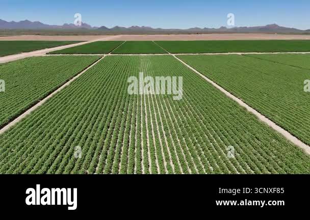 Arizona farm land Stock Videos & Footage - HD and 4K Video Clips - Alamy