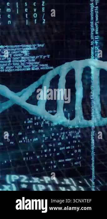 DNA strand and binary coding, scientific data processing animation. Genetics, biotechnology ...