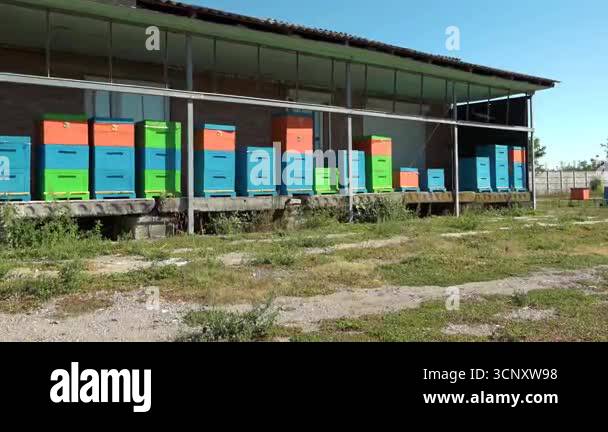 Apiary. Bees collect honey in honeycombs. Modern hives with honeycombs ...