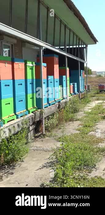 Apiary. Bees collect honey in honeycombs. Modern hives with honeycombs ...