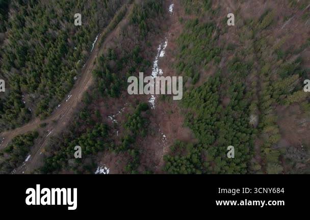 Drone captures aerial perspective of a forest path cutting through a ...