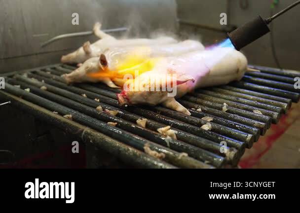Butcher wearing white uniform and boots is burning pig's hair with a ...