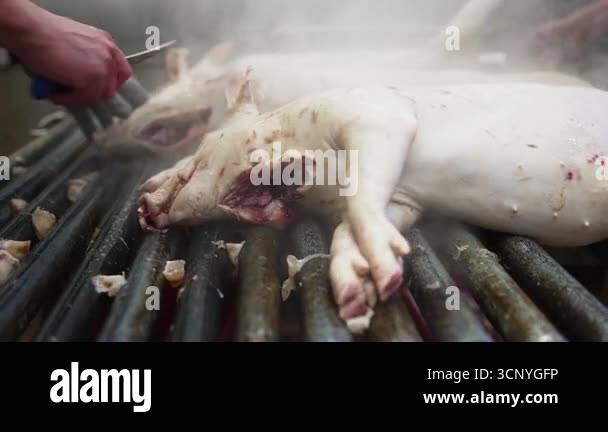 Butchers wearing protective clothing are processing a pig carcass on a ...