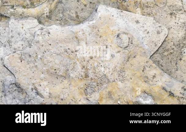 limestone with visible details. background or texture Stock Video ...