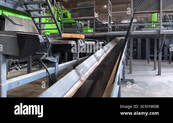 Wooden plank moving across conveyor belt within industrial sawmill ...