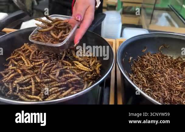 Street food vendor filling plastic takeaway boxes with freshly fried ...