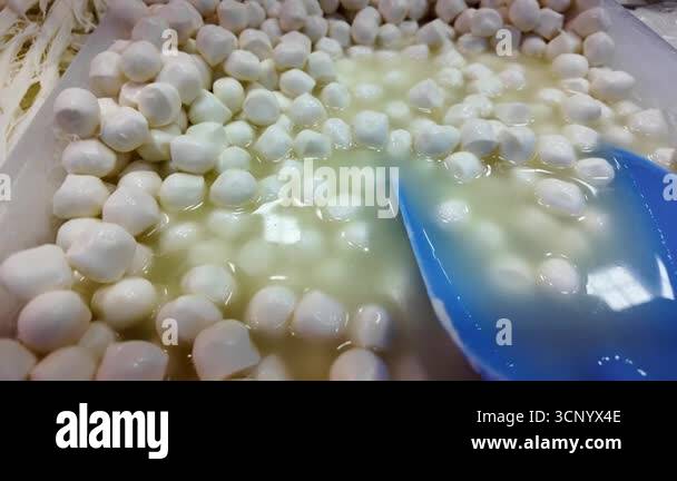 Process creating fresh mozzarella Stock Videos & Footage - HD and 4K ...