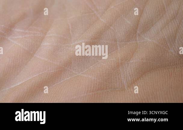 Close-up view of intricate skin textures reveals patterns and features ...