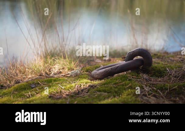 Grass anchor detail Stock Videos & Footage - HD and 4K Video Clips - Alamy