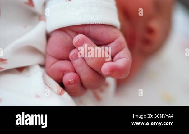 Close up of a newborn baby's tiny hand clenched in soft natural light ...