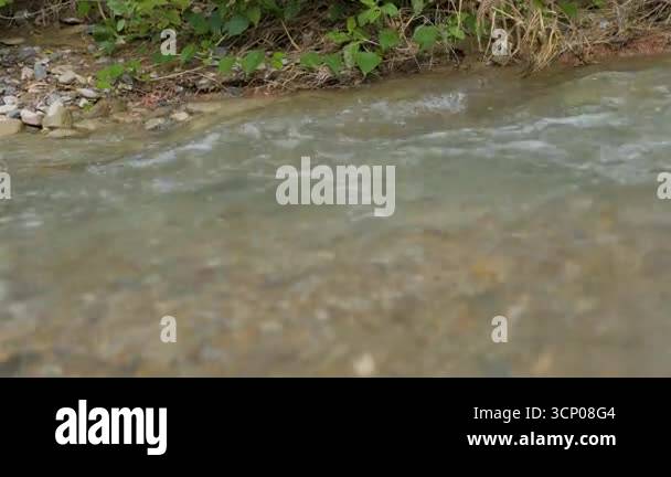 Shallow Stream Flowing Over Pebbles in Queretaro Mexico 558. High ...