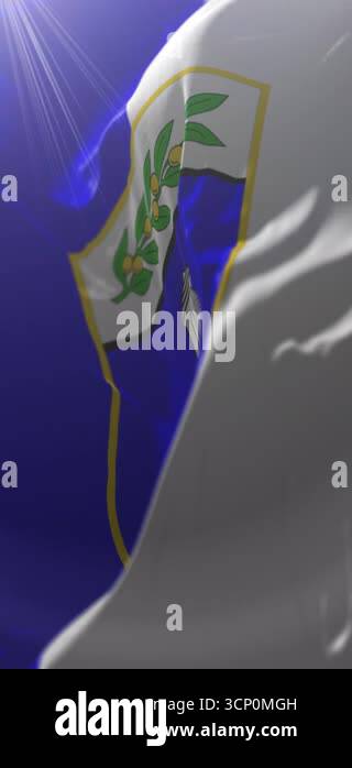 Flag of Zadar County, Croatia. Loop. 4K Vertical Stock Video Footage ...
