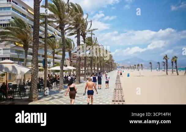 Tree lined promenade Stock Videos & Footage - HD and 4K Video Clips - Alamy