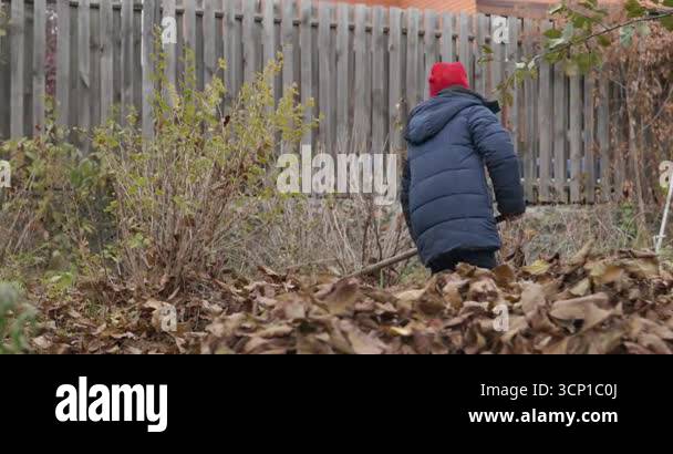 Boy Rakes Leaves in Backyard. Cold Autumn Weather Slow motion 4K 10-bit ...