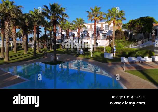 Italian palm Stock Videos & Footage - HD and 4K Video Clips - Alamy